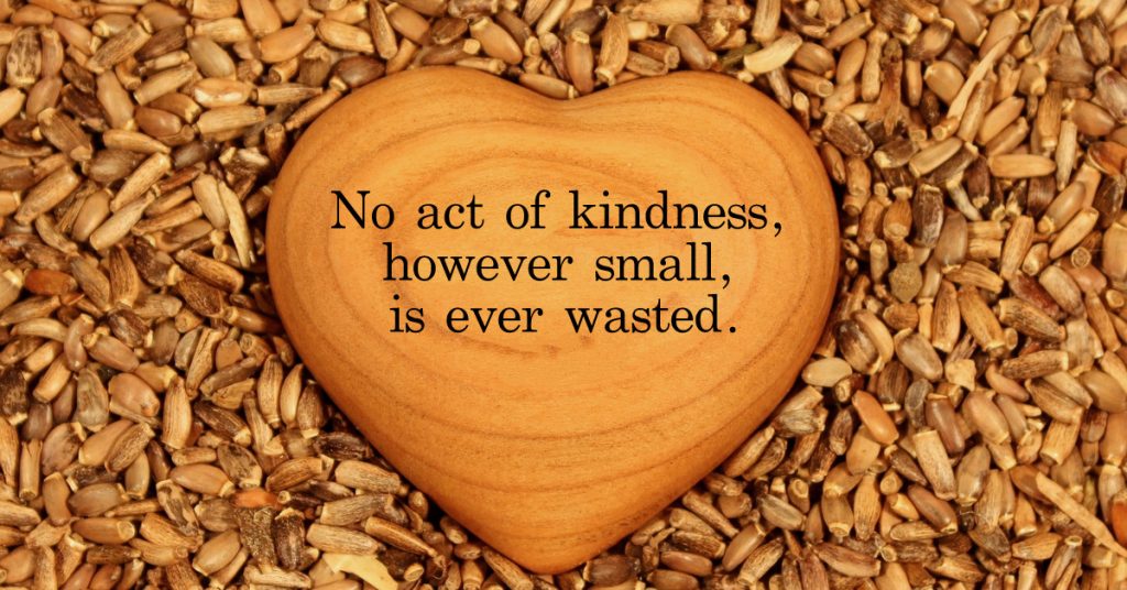 MKE Week 16 - Kindness Is Love | 2025-26.masterkeyexperience.blog